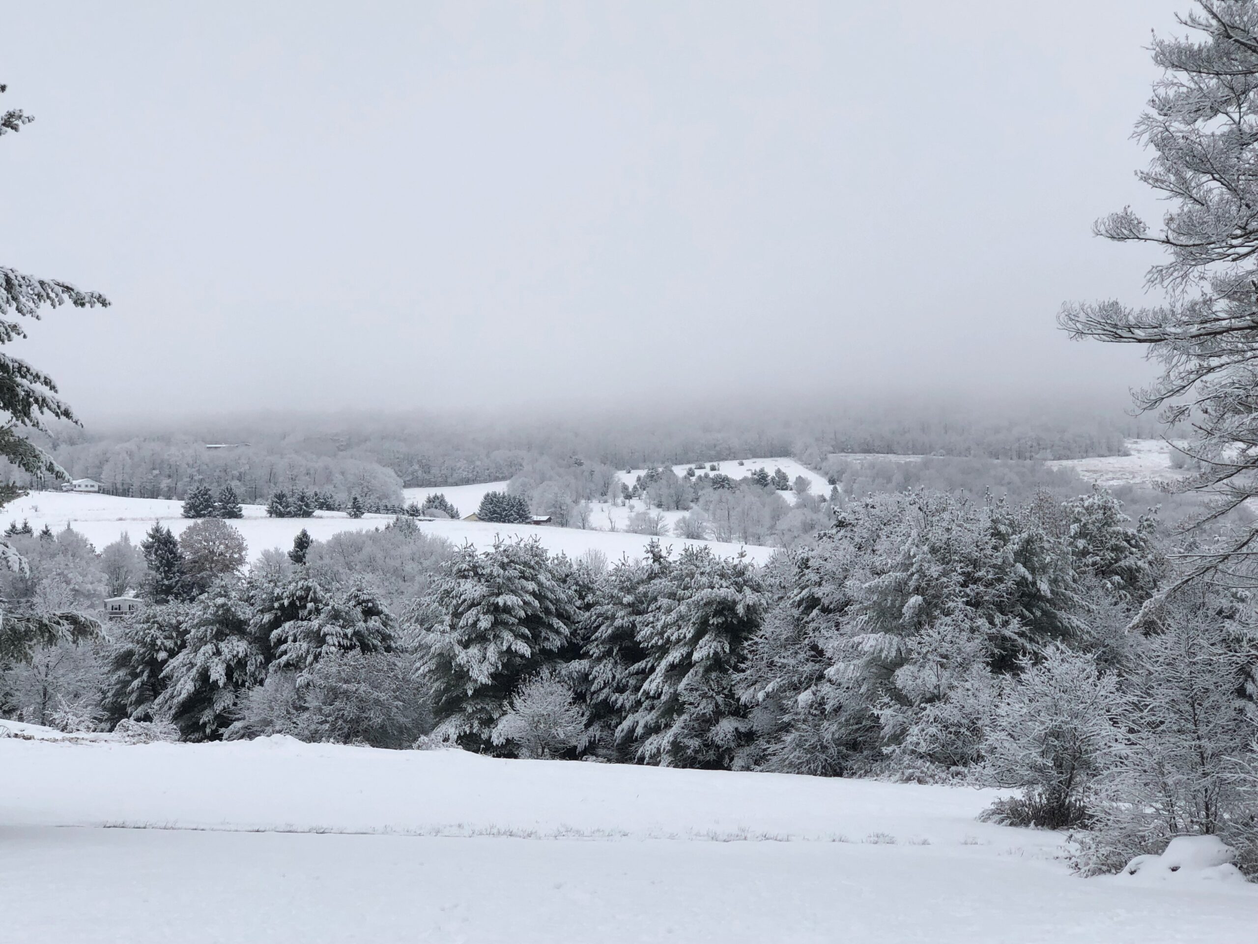 Town of Walton, NY | In the foothills of the Catskill Mountains